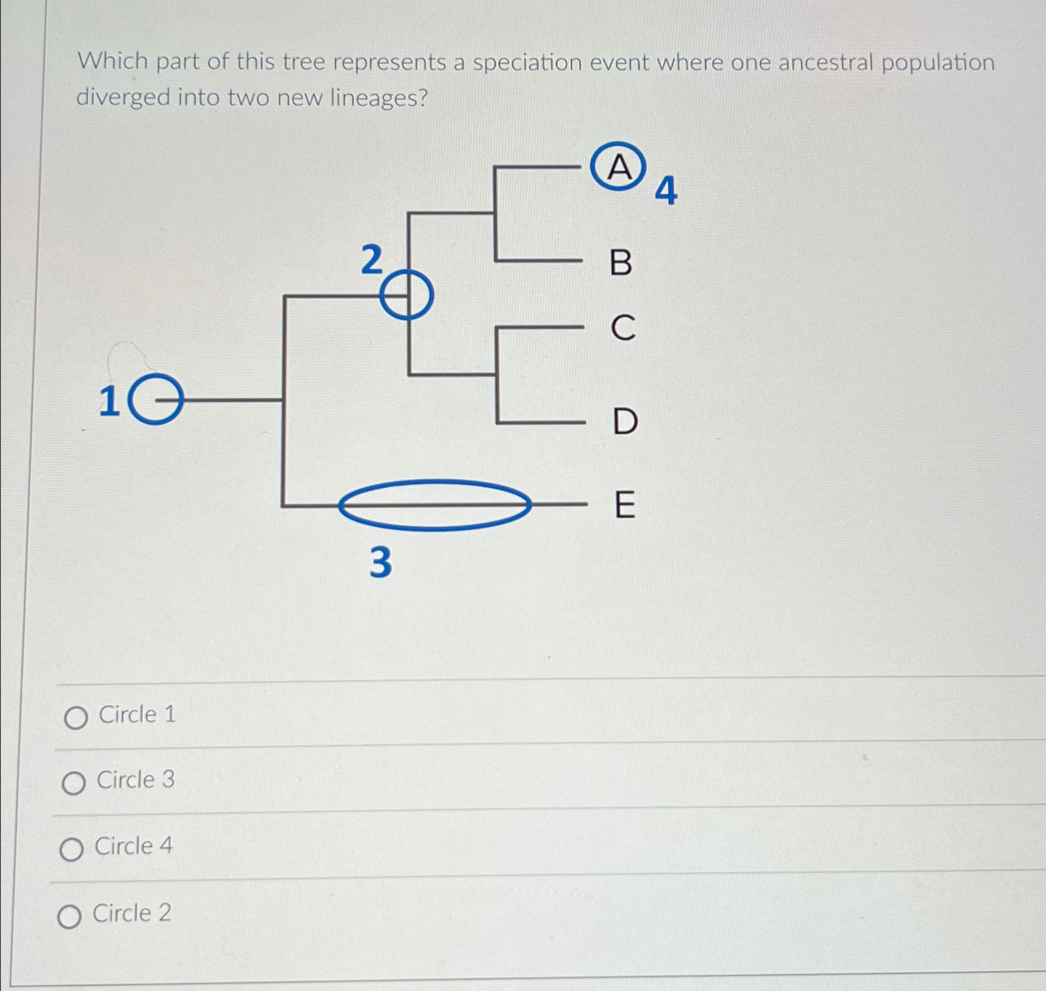 Solved Which part of this tree represents a speciation event | Chegg.com