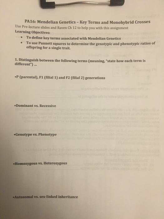 Solved PA16: Mendelian Genetics - Key Terms and Monohybrid | Chegg.com