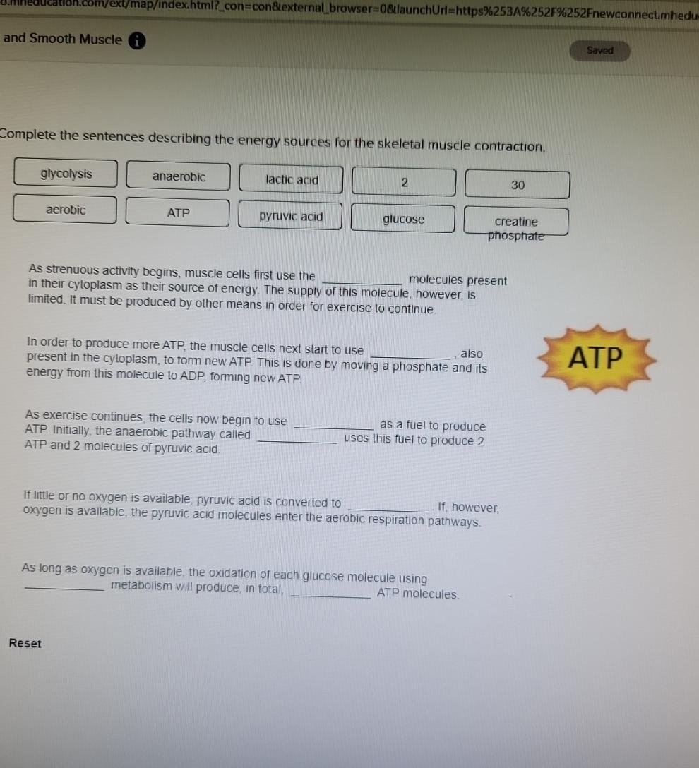 Solved .and Smooth Muscle iComplete the sentences describing | Chegg.com