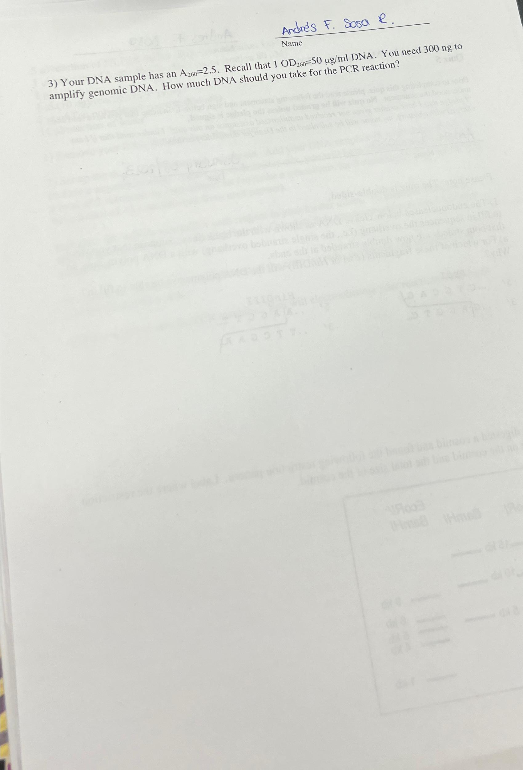 Solved Andre's F. ﻿Sosa R.NameYour DNA sample has an | Chegg.com