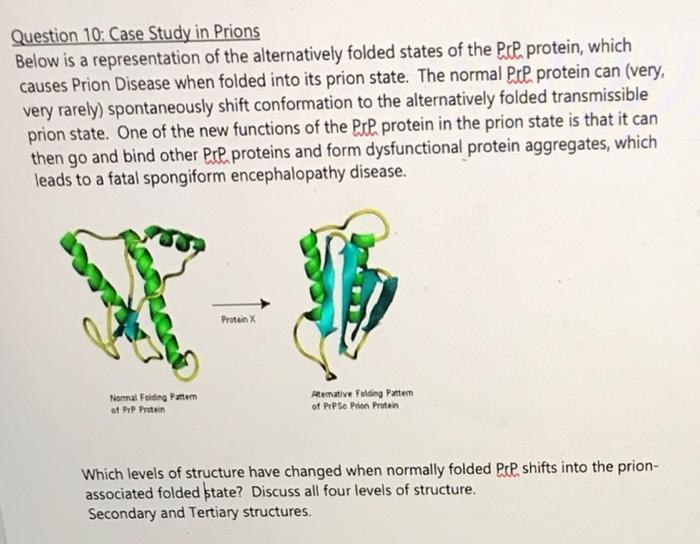 Solved Question 10: Case Study in Prions Below is a | Chegg.com