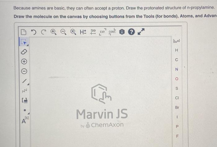 Solved Because amines are basic, they can often accept a | Chegg.com