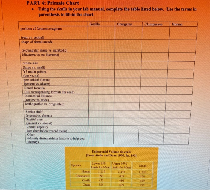 Solved PART 4: Primate Chart Using the skulls in your lab | Chegg.com