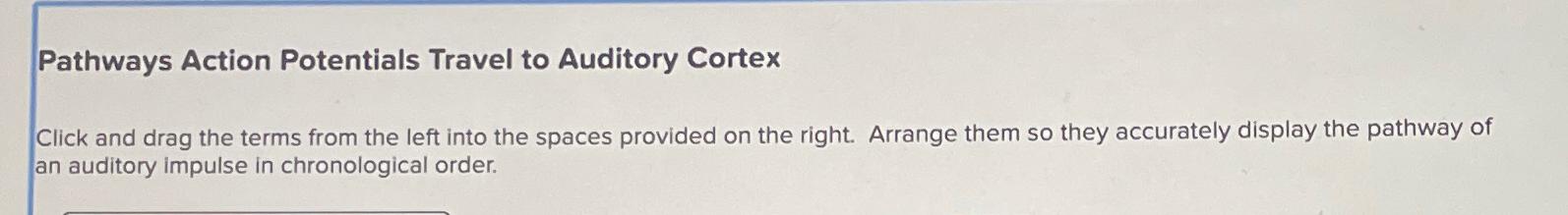 Solved Pathways Action Potentials Travel to Auditory | Chegg.com