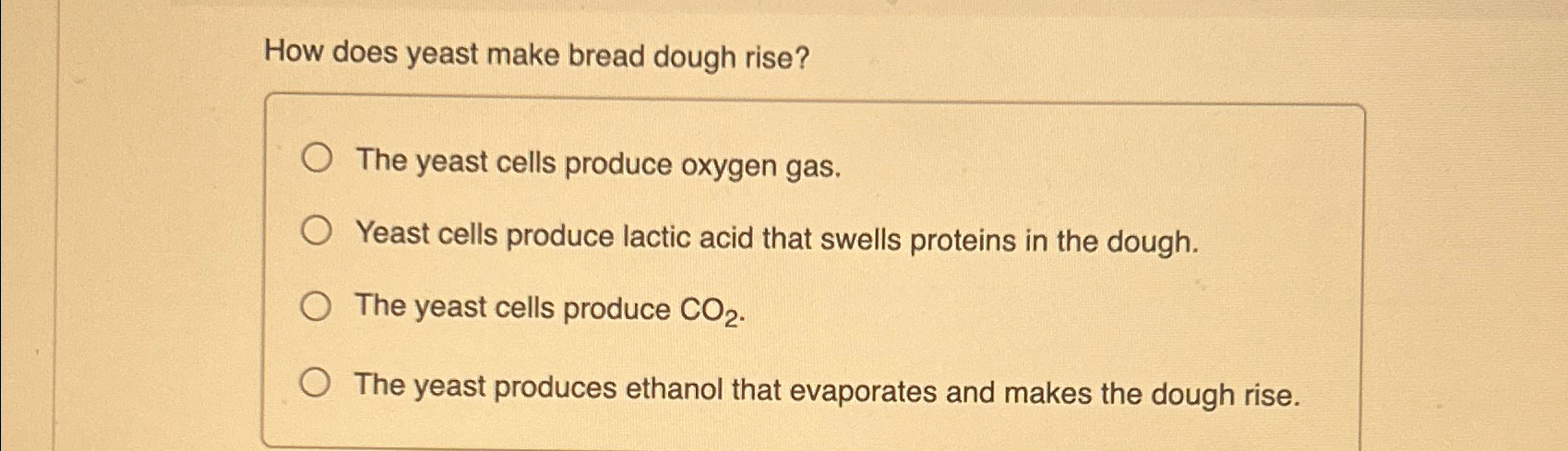 Solved How does yeast make bread dough rise?The yeast cells | Chegg.com