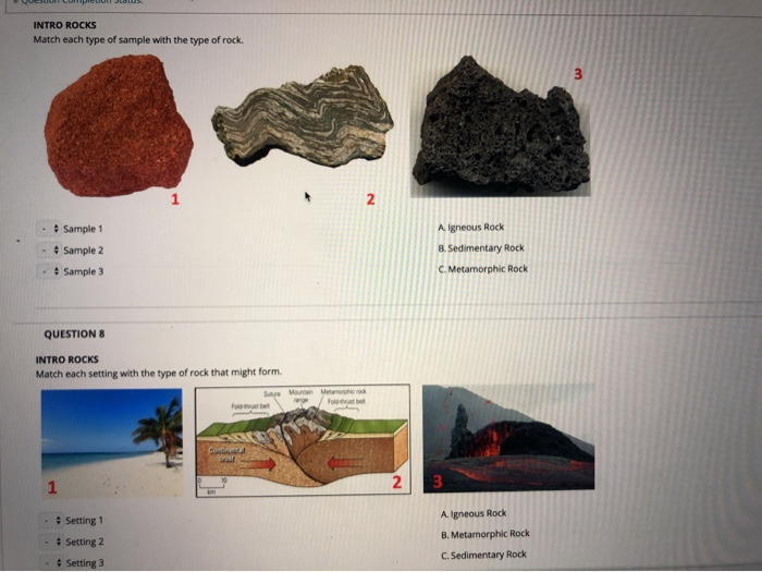 Solved INTRO ROCKS Match each type of sample with the type | Chegg.com