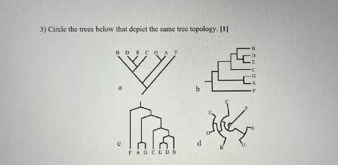 Solved Circle the trees below that depict the same tree | Chegg.com