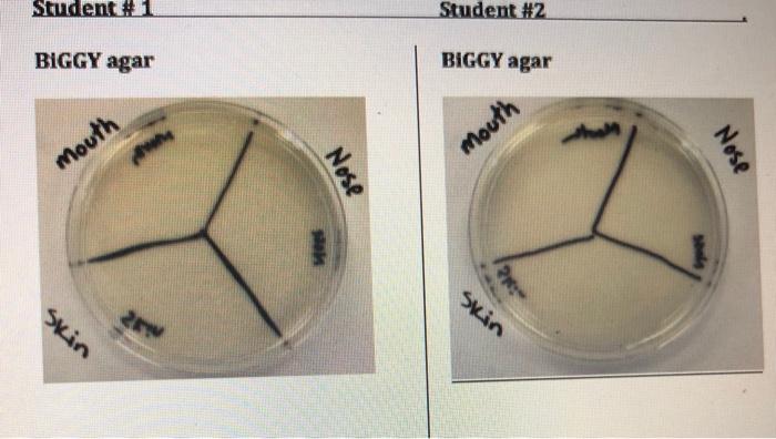 split in half cor student 1 and student 2 and fill | Chegg.com