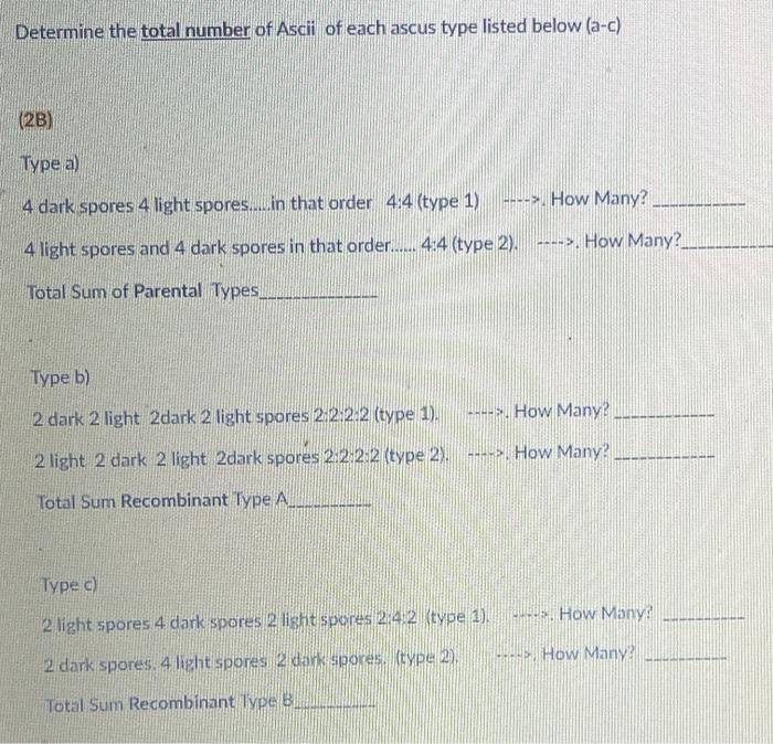 Solved Determine the total number of Ascii of each ascus | Chegg.com