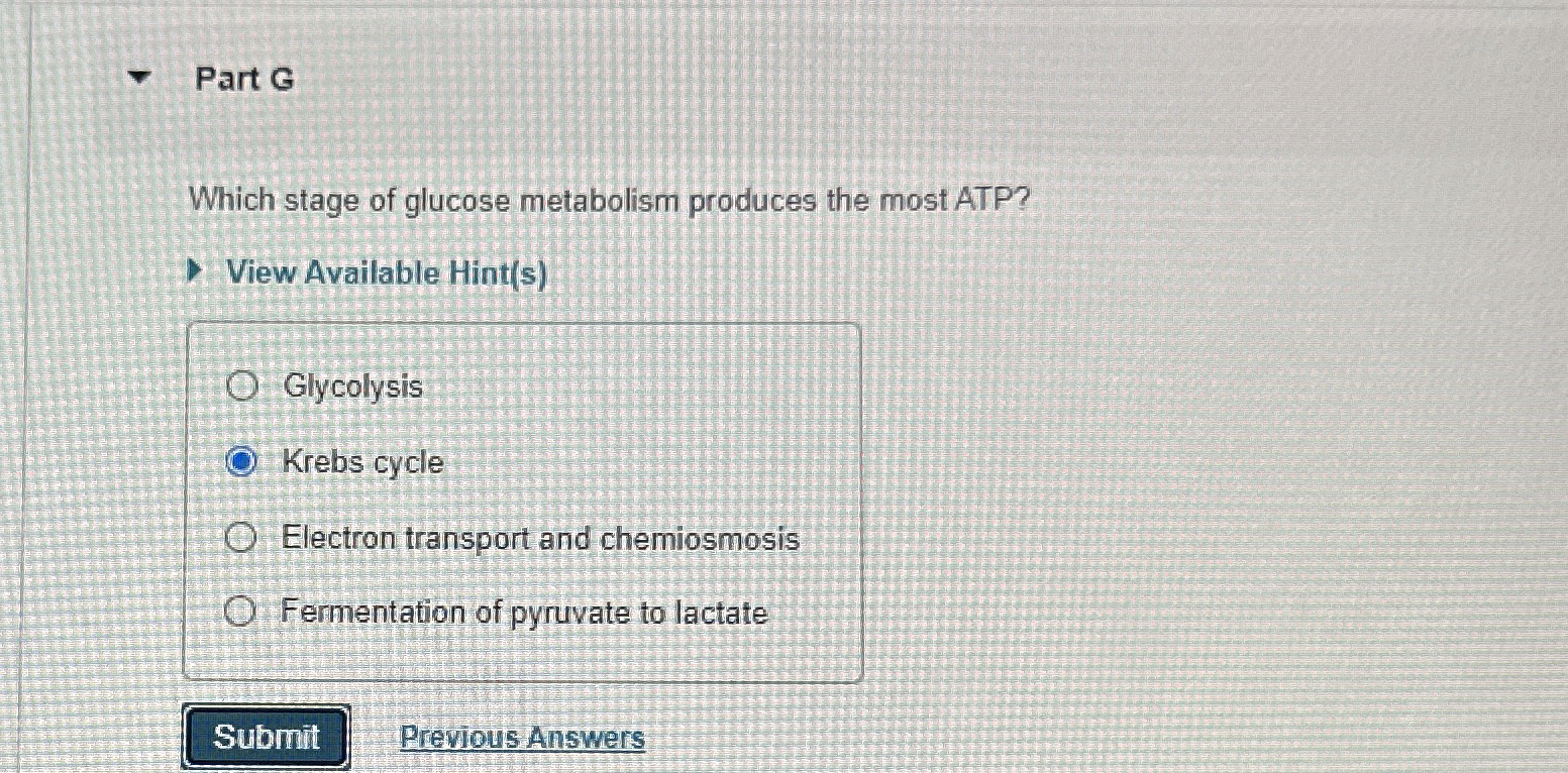 Solved Part GWhich stage of glucose metabolism produces the | Chegg.com