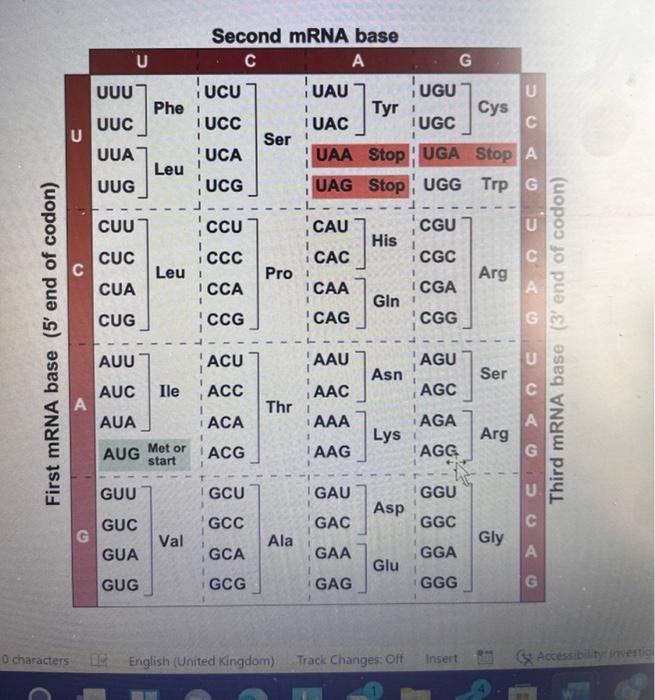 Solved G UCU UGU Second mRNA base U C A UUU UAU U Phe Туг 1 | Chegg.com