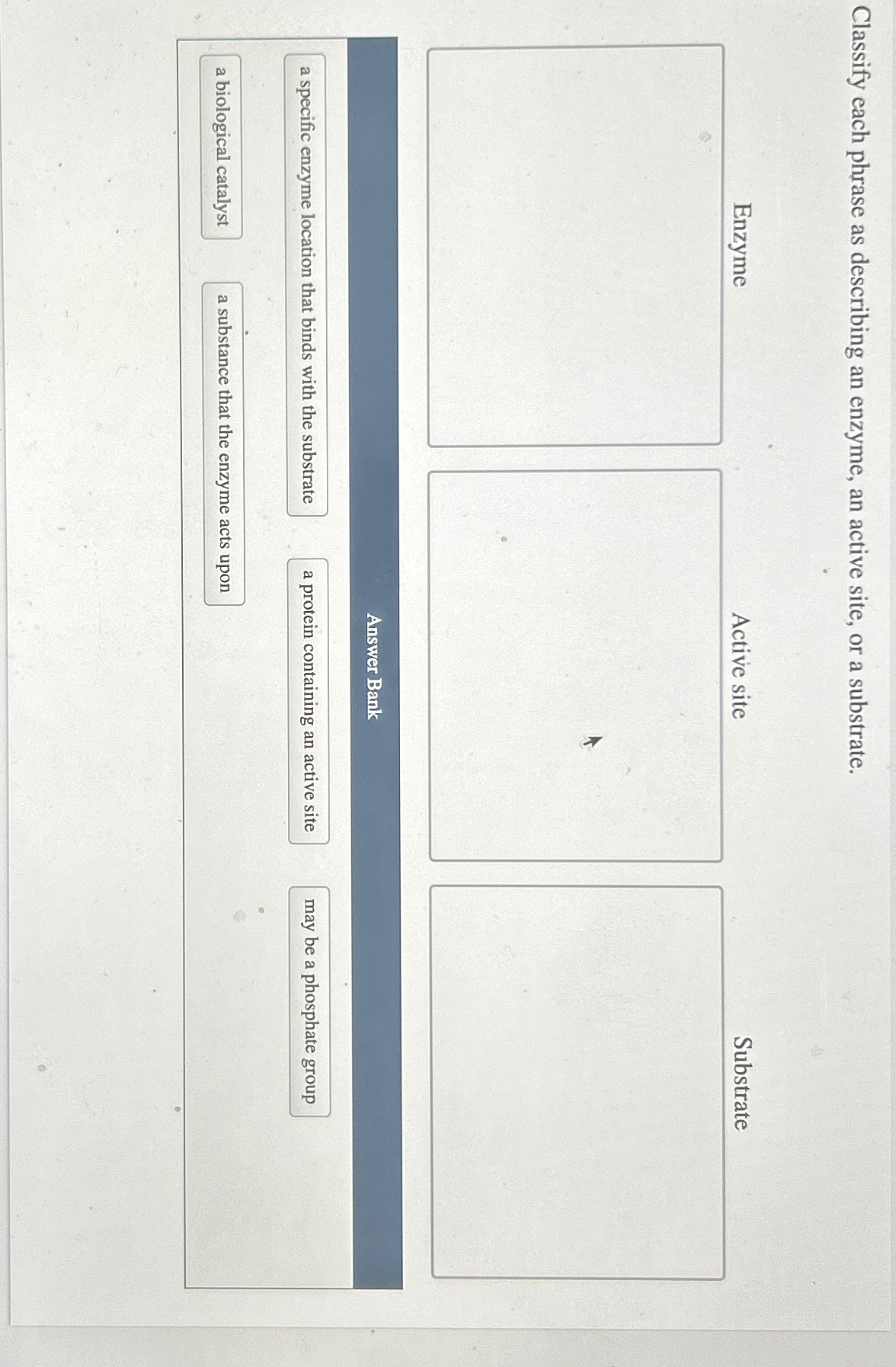Solved Classify each phrase as describing an enzyme, an | Chegg.com