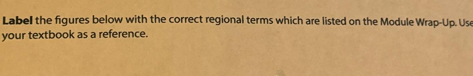 Solved Label the figures below with the correct regional | Chegg.com
