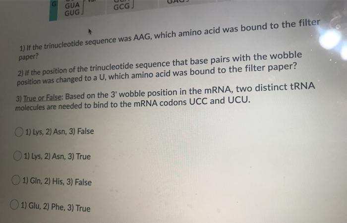 Solved GUA GUG GCG 1) If the trinucleotide sequence was AAG, | Chegg.com