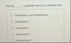 Solved During q, ﻿a spindle forms in a haploid | Chegg.com