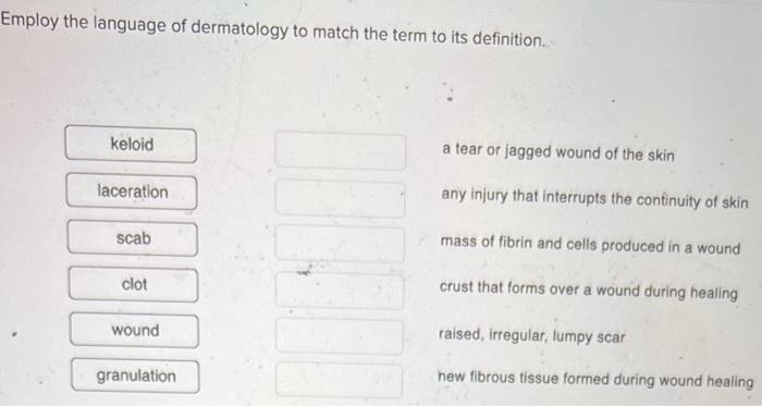 Solved Employ the language of dermatology to match the term | Chegg.com