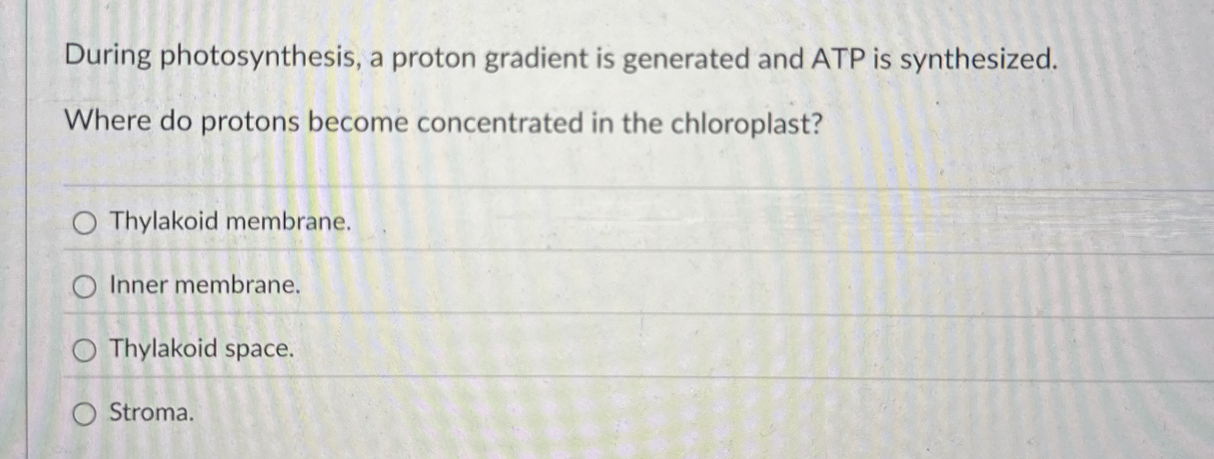 Solved During photosynthesis, a proton gradient is generated | Chegg.com