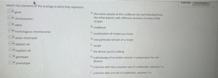 Solved Match the elements of the analogy to what they | Chegg.com