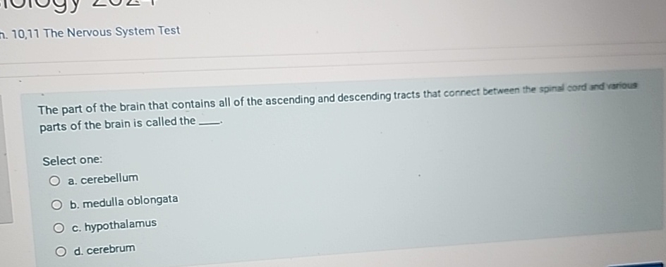 Solved n. 10,11 ﻿The Nervous System TestThe part of the | Chegg.com