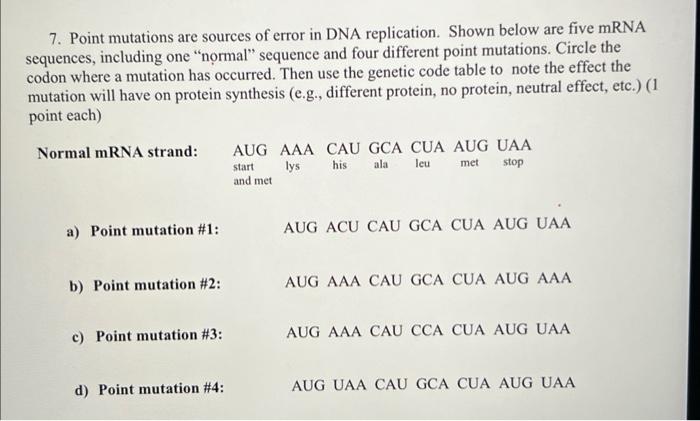 Solved 7. Point mutations are sources of error in DNA | Chegg.com