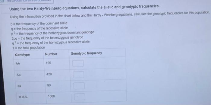 Solved THE Using the two Hardy-Weinberg equations, calculate | Chegg.com