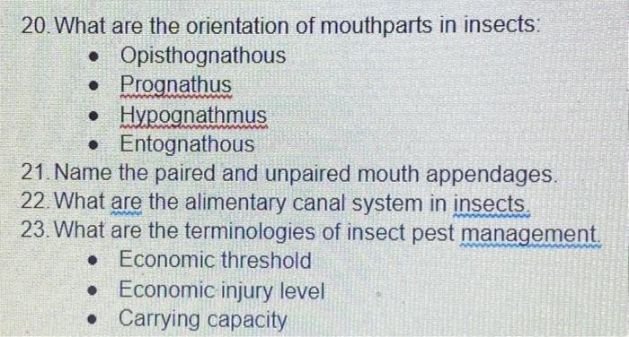 Solved 20. What are the orientation of mouthparts in | Chegg.com