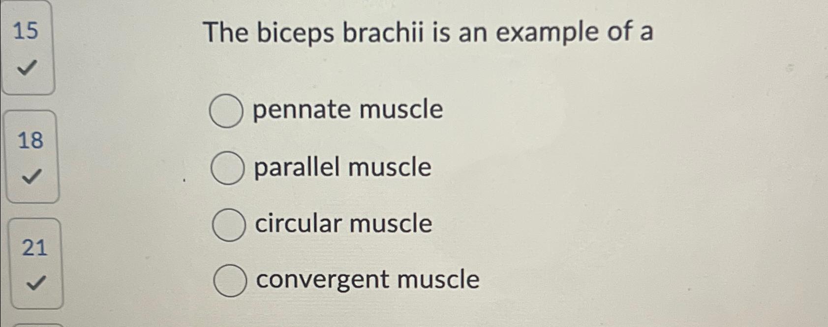 Solved 15 ﻿The biceps brachii is an example of apennate | Chegg.com