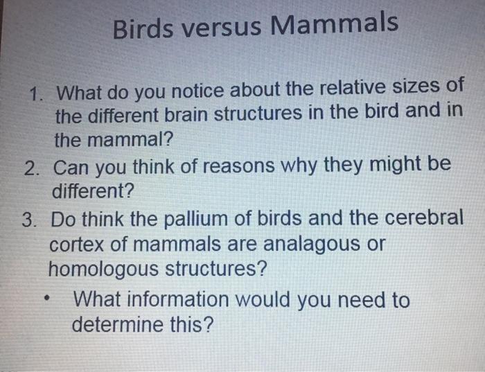 Solved Birds versus Mammals 1. What do you notice about the | Chegg.com