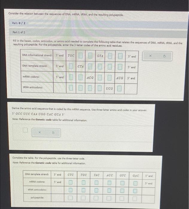 Solved Write the complementary strand for each of the | Chegg.com