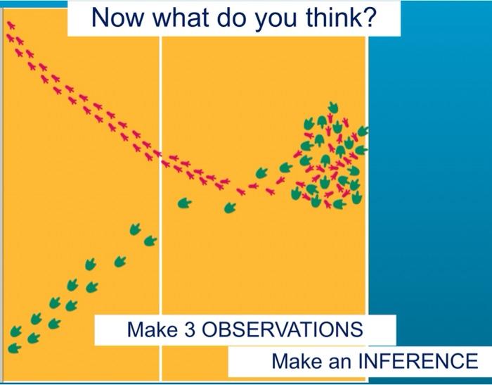 Solved Look at these two sets of animal tracks. List 3 | Chegg.com