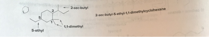 Solved - 2-sec-butyl | Chegg.com