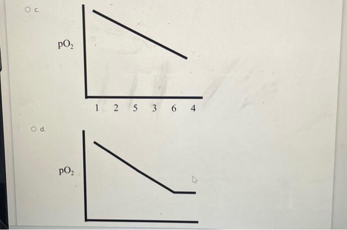 Solved Which graph represents the overall changes in pO₂ in | Chegg.com