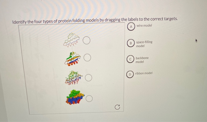 Solved Generally speaking, what determines the biological | Chegg.com