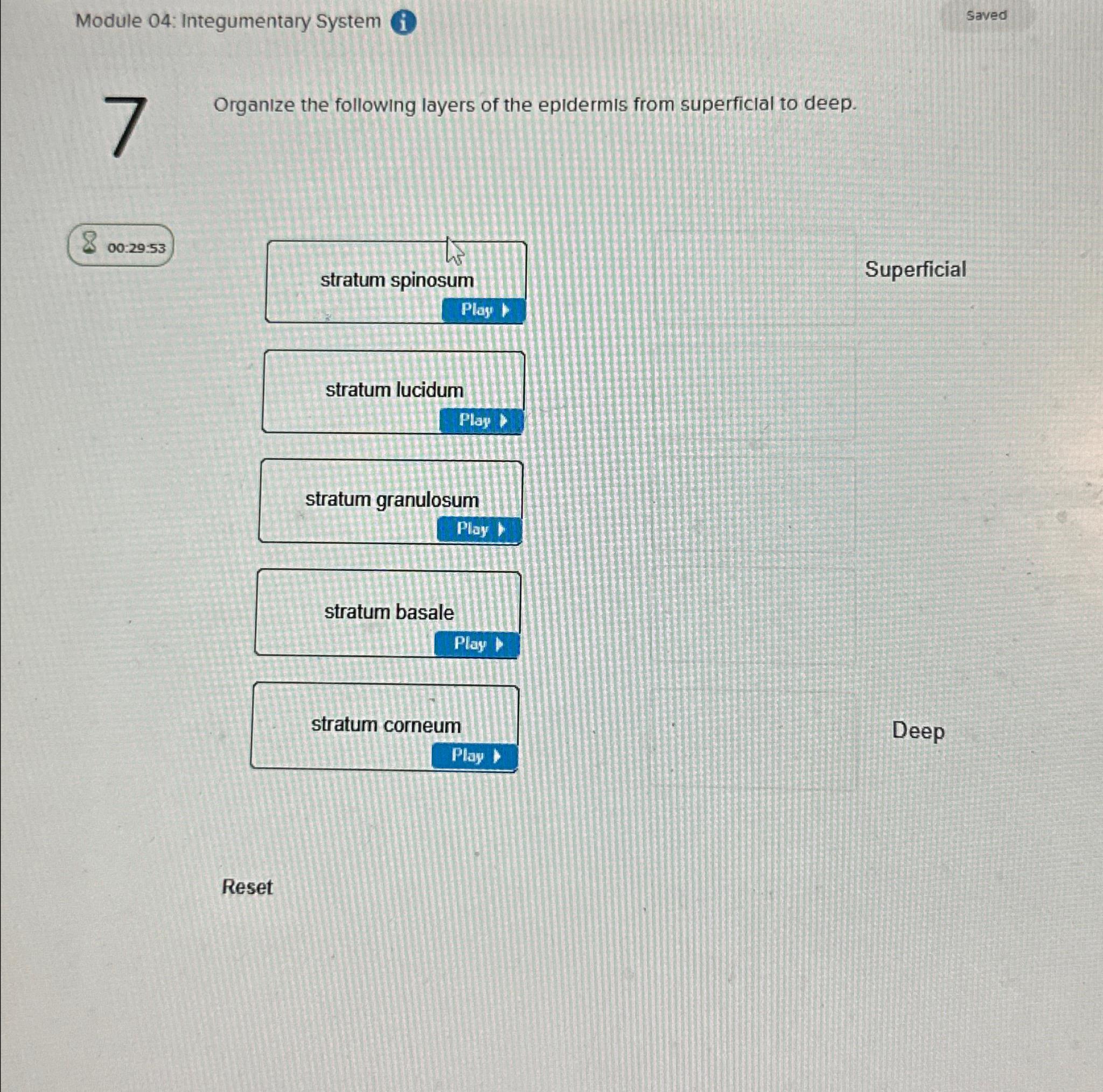 Solved Module 04: Integumentary System | Chegg.com