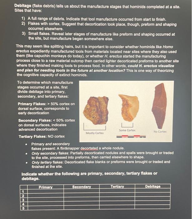 Solved Exercise 2: Classify Stage of Lithic Reduction Lithic | Chegg.com