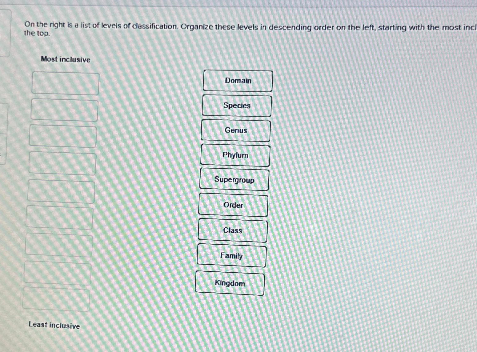 Solved On the right is a list of levels of classification. | Chegg.com