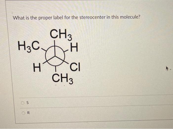 Solved What is the proper label for the stereocenter in this | Chegg.com