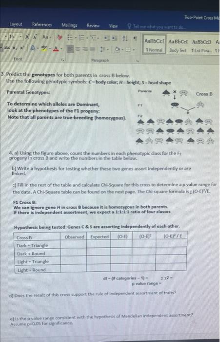 Solved Two-Point Cross Me tel mewou want ts de Layout | Chegg.com