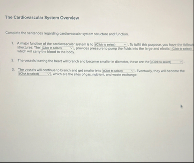 Solved The Cardiovascular System OverviewComplete the | Chegg.com
