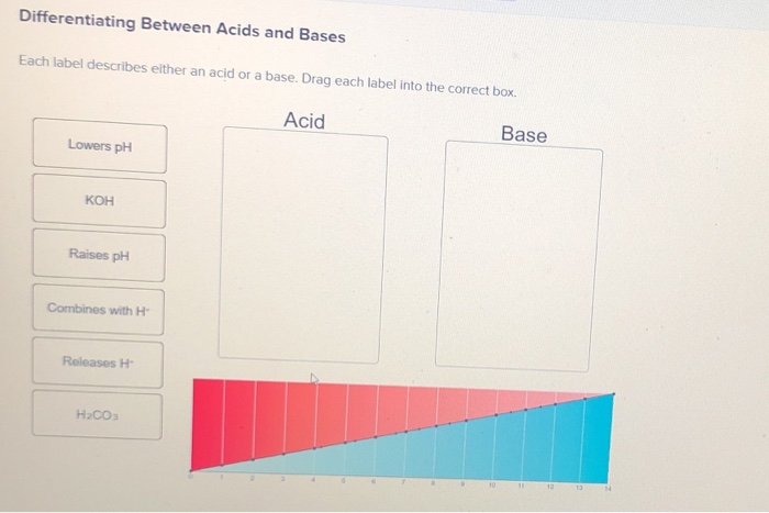 Solved Differentiating Between Acids and Bases Each label | Chegg.com