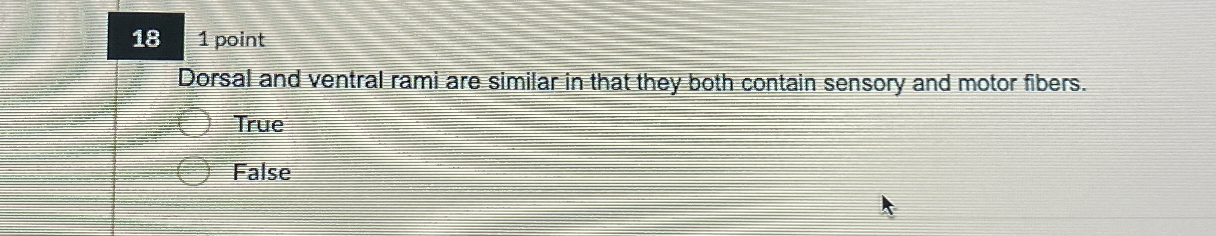 Solved 181 ﻿pointDorsal and ventral rami are similar in that | Chegg.com