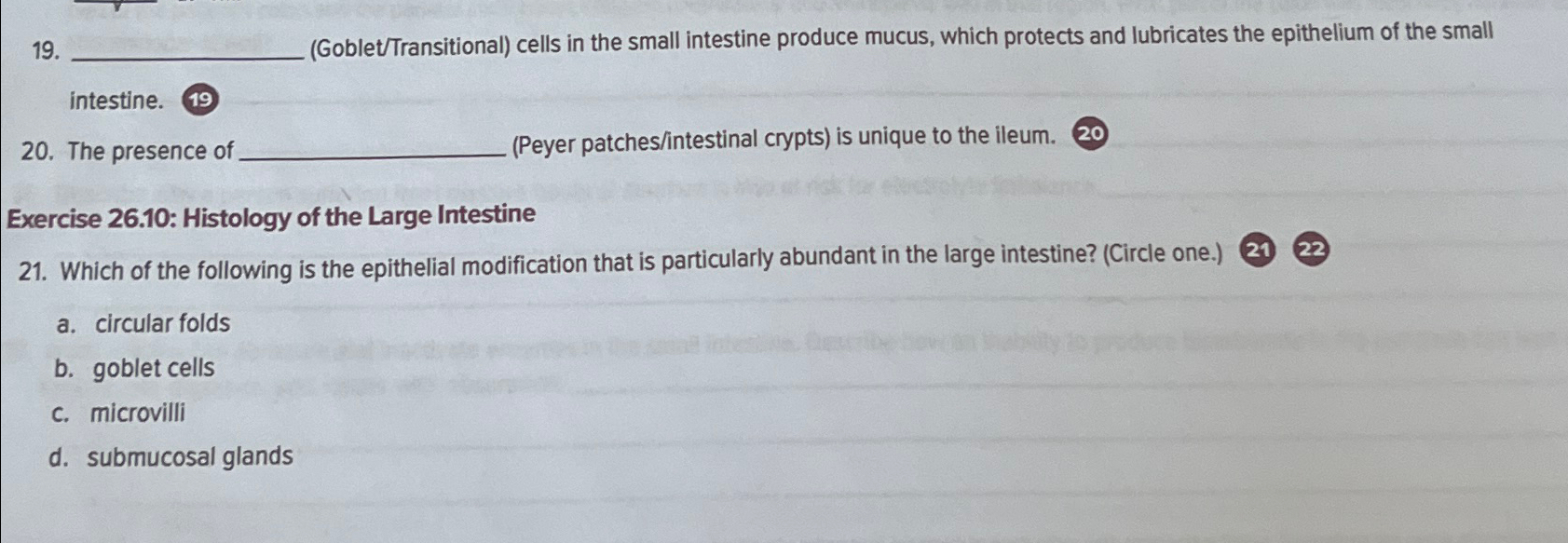 Solved - (Goblet/Transitional) ﻿cells in the small | Chegg.com