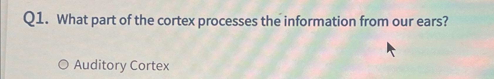 Solved Q1. ﻿What part of the cortex processes the | Chegg.com
