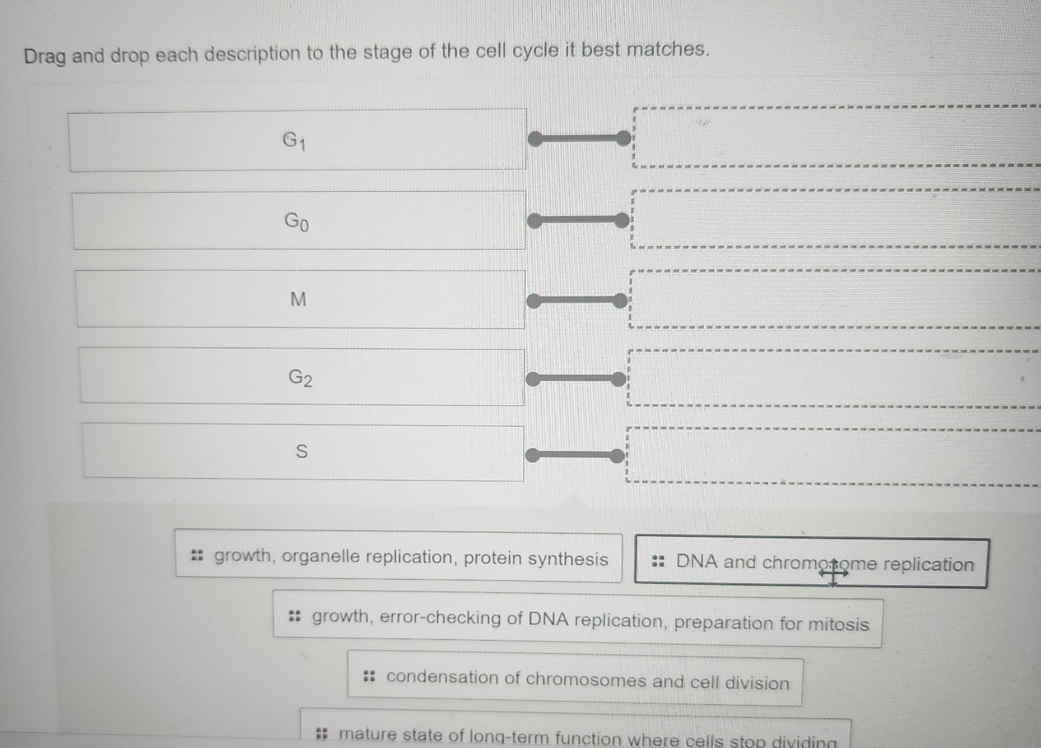 Solved Drag and drop each description to the stage of the | Chegg.com