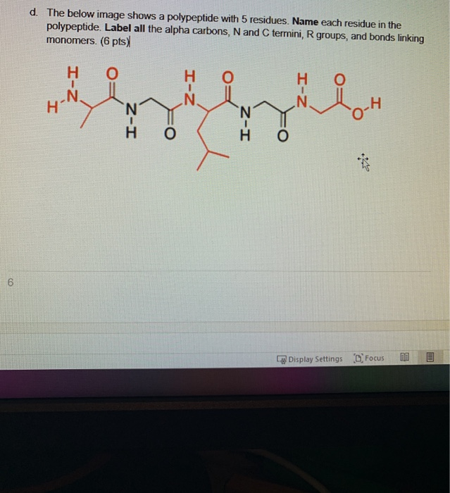 Solved: D. The Below Image Shows A Polypeptide With 5 Resi... | Chegg.com