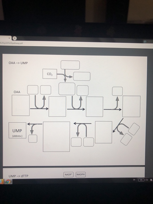 Show how DTTP is synthesized. Use the pathway | Chegg.com
