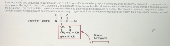 Solved Incorrect amino acid sequences in a protein can lead | Chegg.com