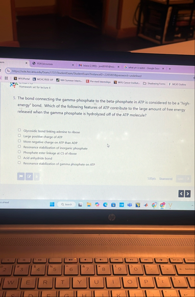 Solved reprismolywhylutulMONCHEL UPNor Summent litherNe-evel | Chegg.com