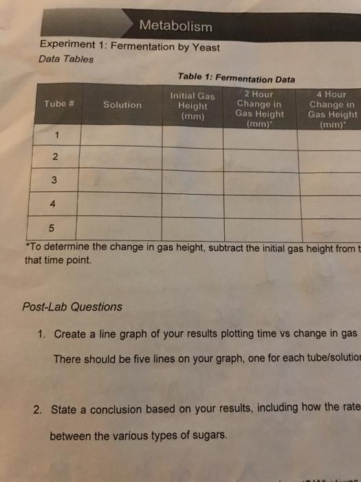 Metabolism Experiment 1: Fermentation by Yeast Data | Chegg.com