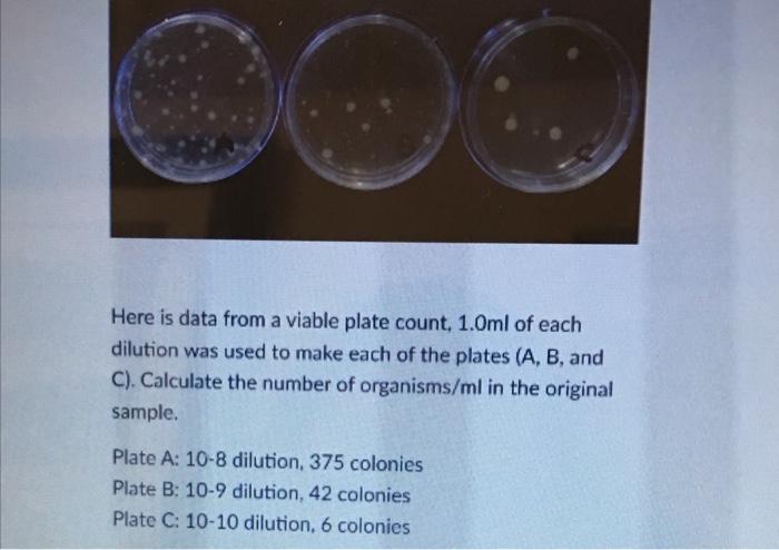Solved 009 Here is data from a viable plate count, 1.0ml of | Chegg.com